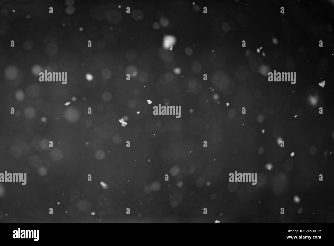 Bokeh of white snow on a black background. Snowfall - new design ...