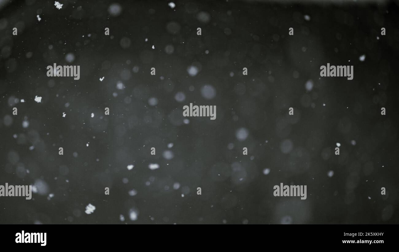 Falling snowflakes on night sky background, isolated for post ...