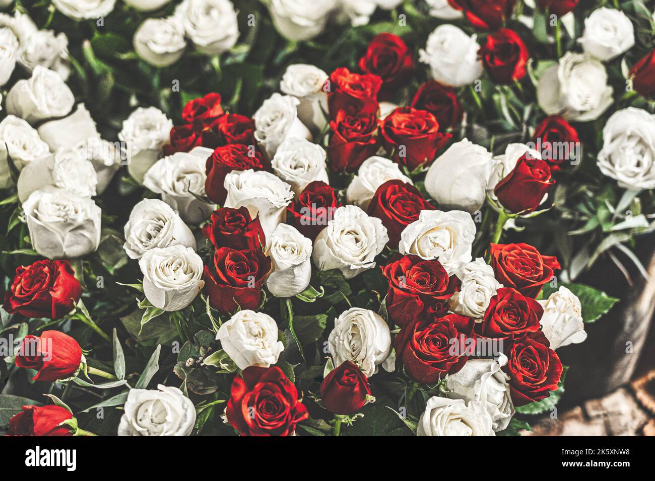 Red and white roses say I love you Stock Photo - Alamy