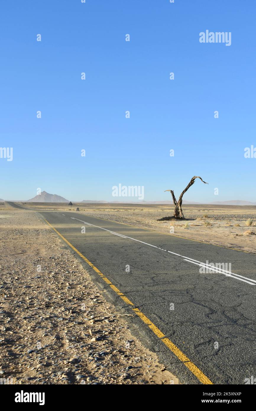 Tree outdoors road hi-res stock photography and images - Alamy