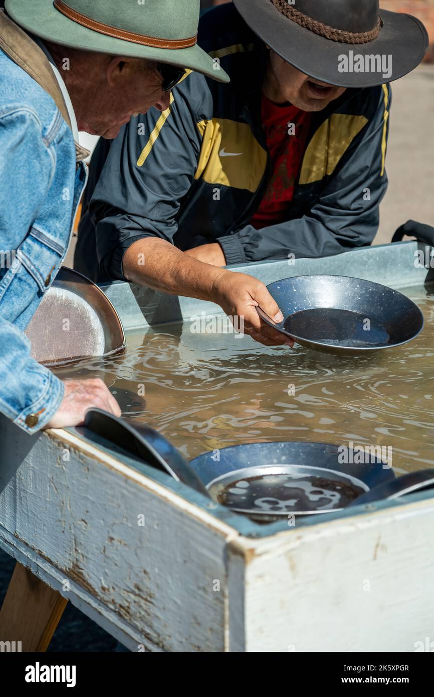 Learning how to pan for gold, "Free Gold Panning" station, Donkey Derby ...