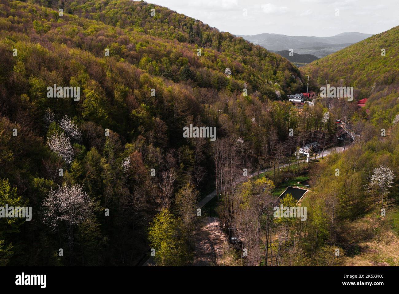 Shenborna Park from a bird's eye view, a Gothic park with a pond and a ...