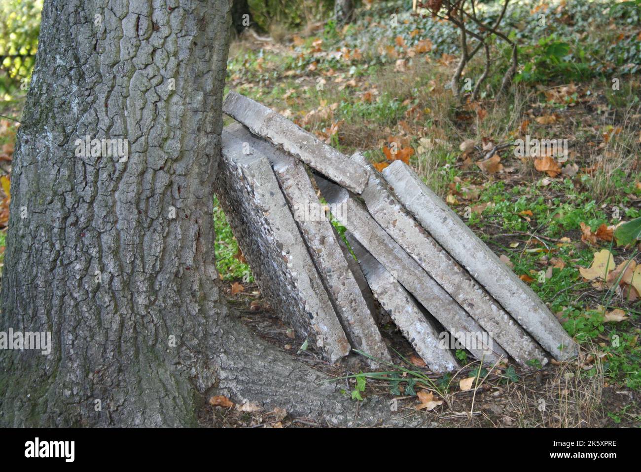 slabs of stone Stock Photo - Alamy