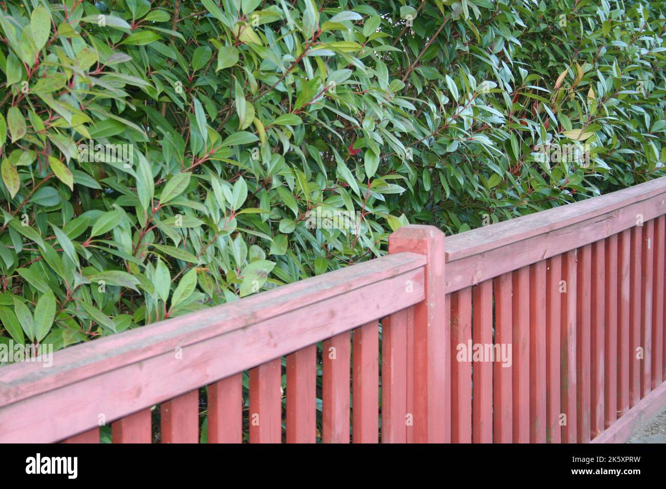 red garden fence Stock Photo - Alamy