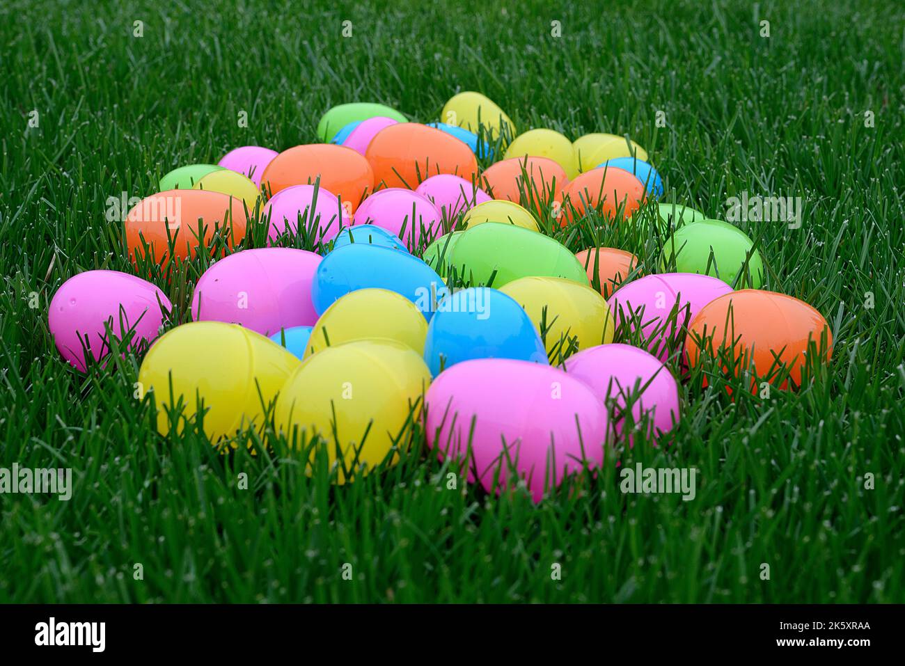 Plastic Easter Eggs In Grass
