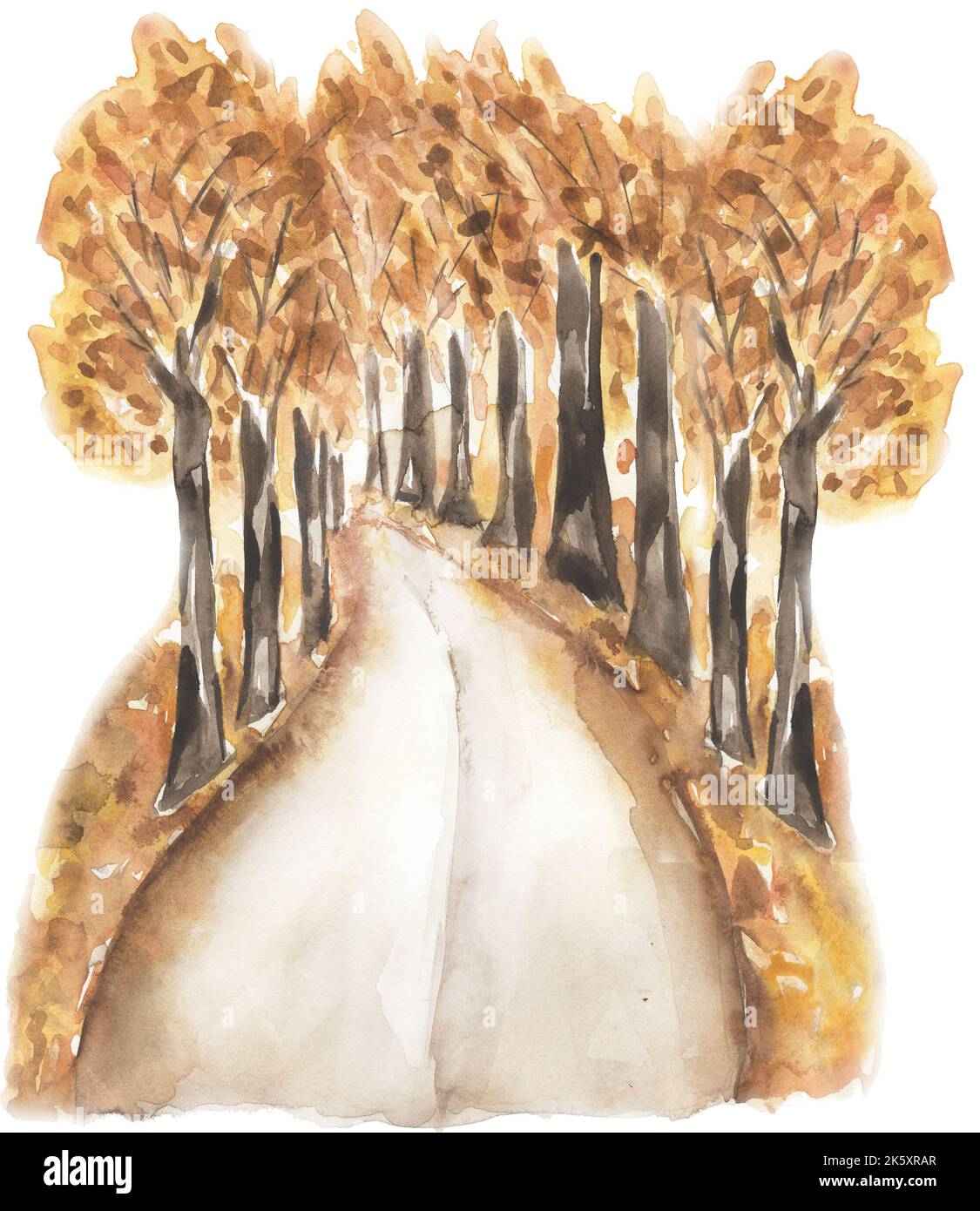 Watercolor autumn road composition, fall trees and road illustration ...