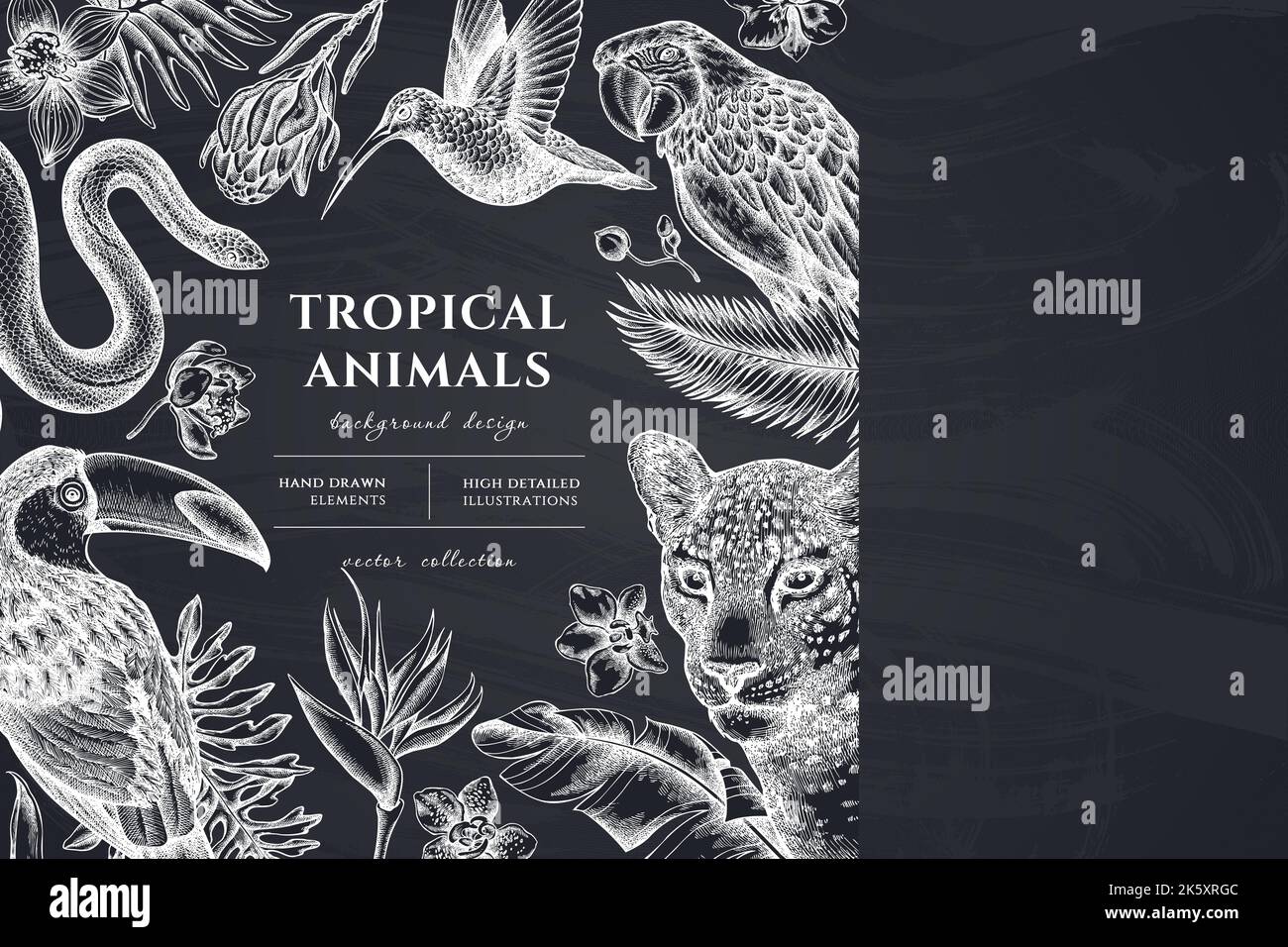 Tropical animals hand drawn illustration design. Background with chalk ...