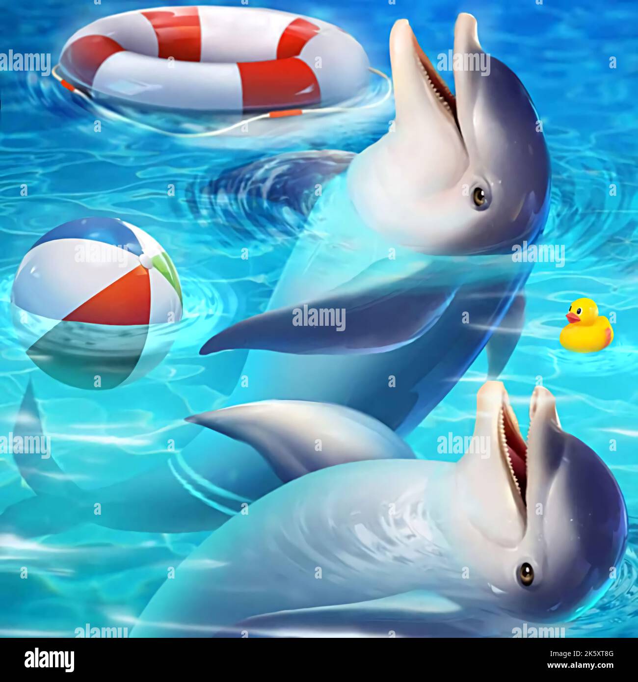 picture of two dolphins being trained in a pond, with a buoy, ball and ...