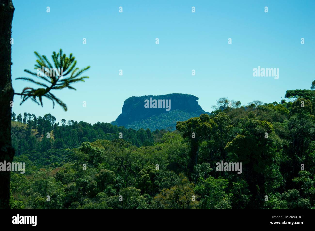 Lamp top view Stock Photo - Alamy