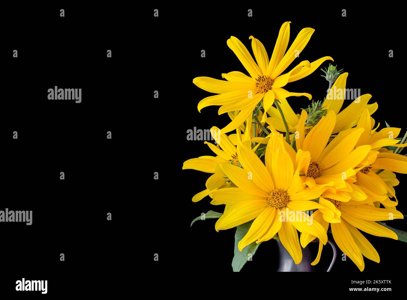 A sunflower in a vase on a black background Stock Photo - Alamy