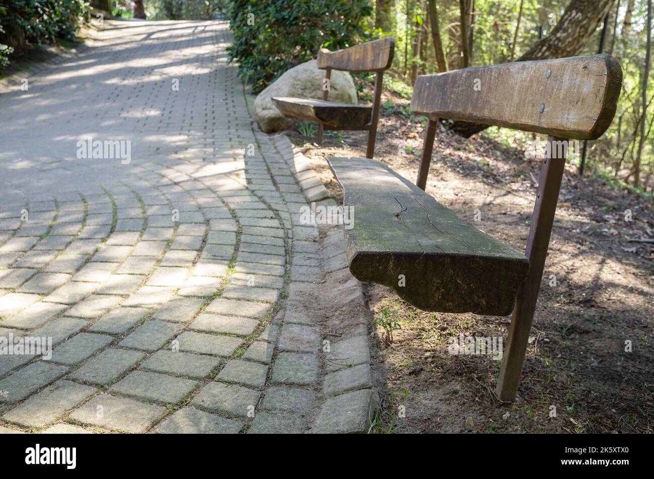 wooden benches in the park near a paved walking path with sunbeams ...