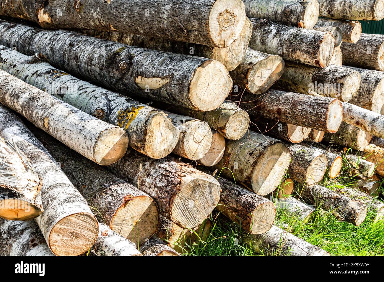Deforestation, stacked timber at the countryside in sunny day ...