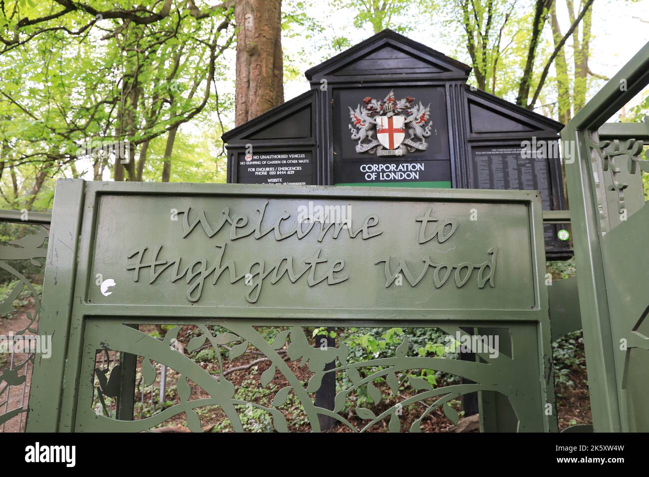 Spring weather in Highgate Wood in north London, UK Stock Photo - Alamy