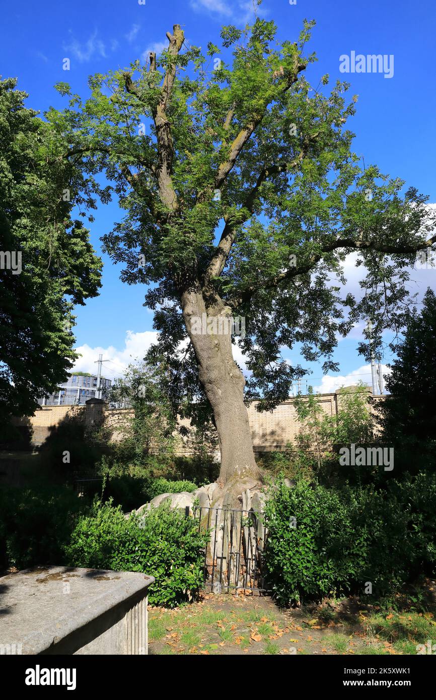 Thomas Hardy, best known as a writer but also studied to be an ...