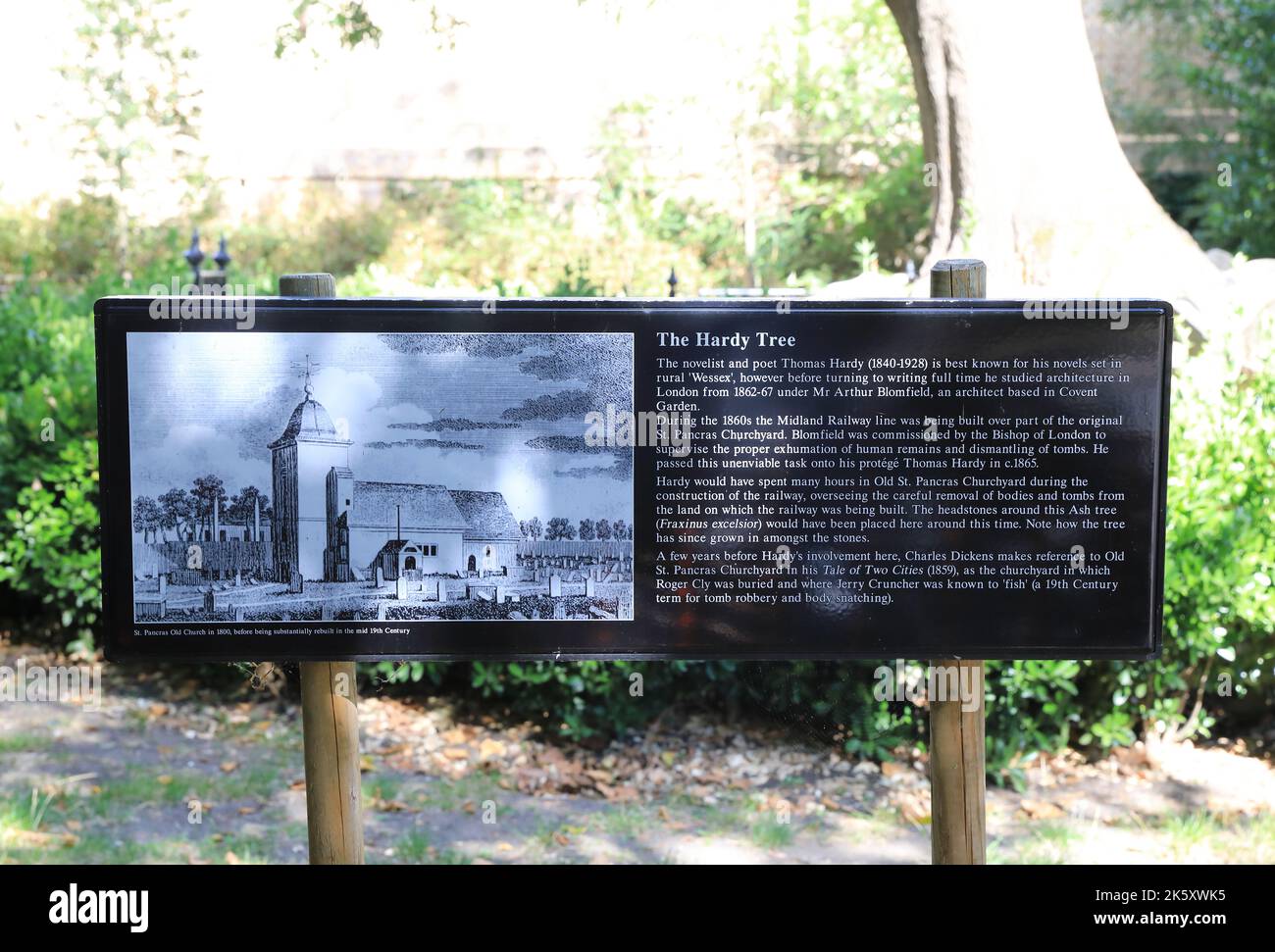 Thomas Hardy, best known as a writer but also studied to be an ...