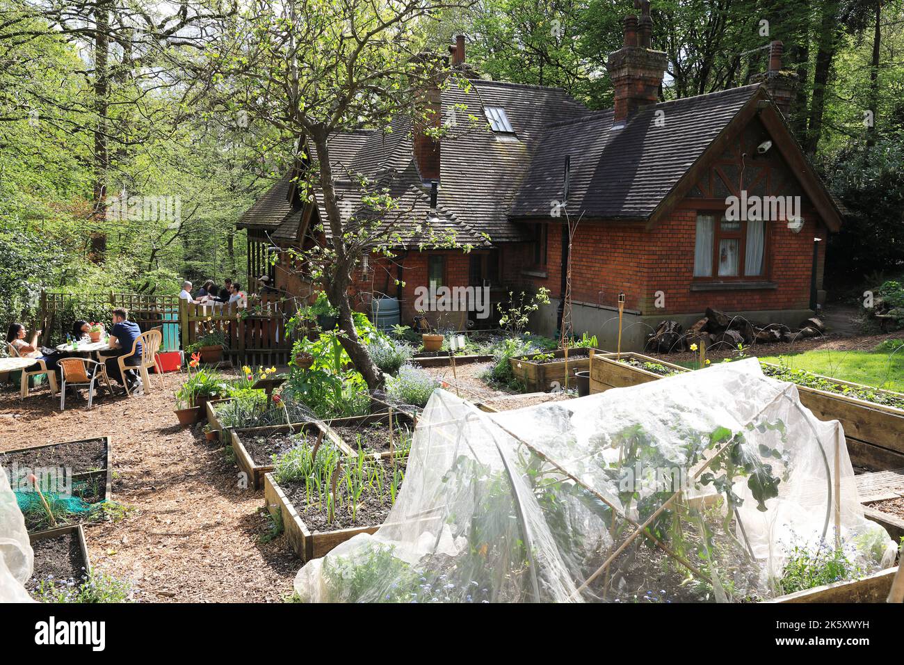 Pretty Queens Wood Cafe in Highgate, in spring sunshine, in north ...
