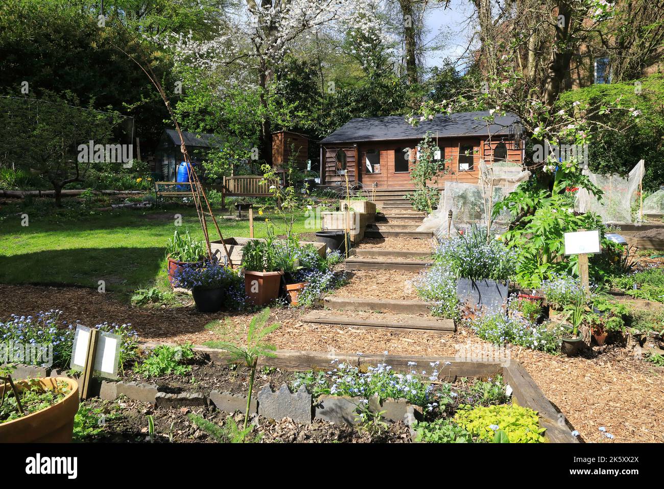 Pretty Queens Wood Cafe in Highgate, in spring sunshine, in north ...