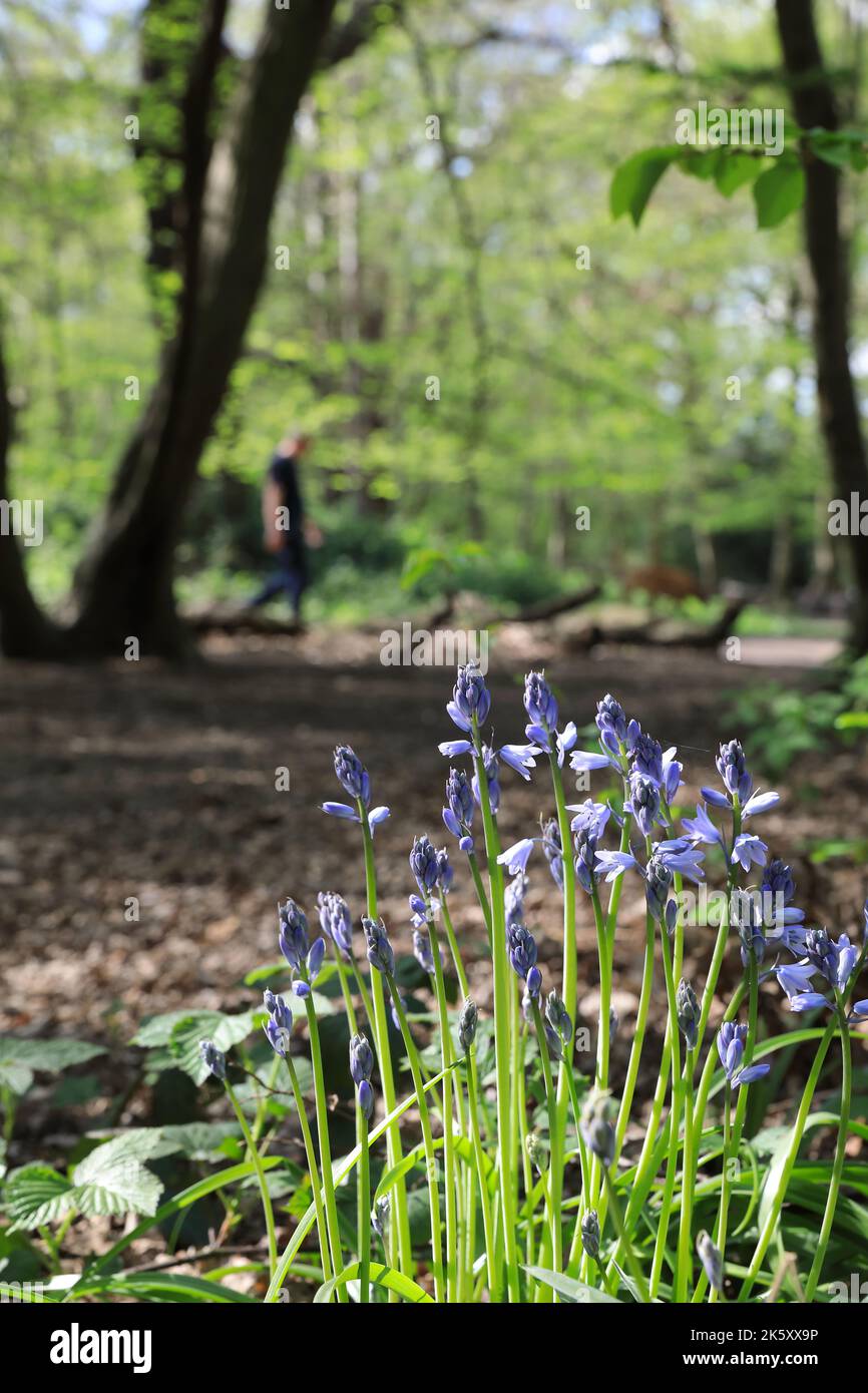 North london location hi-res stock photography and images - Alamy