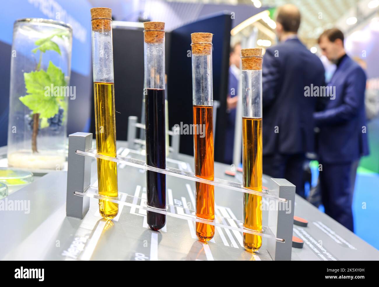 Four glass test tubes with multi-colored liquid inside in the ...