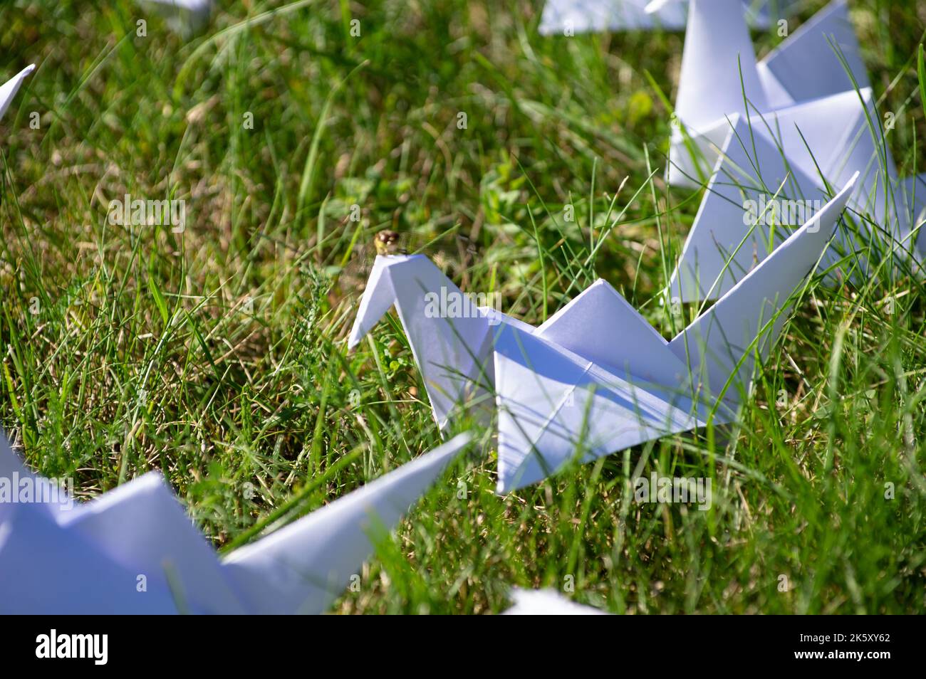 Japanese folded Origami cranes on fresh grass. Hundreds handmade paper ...