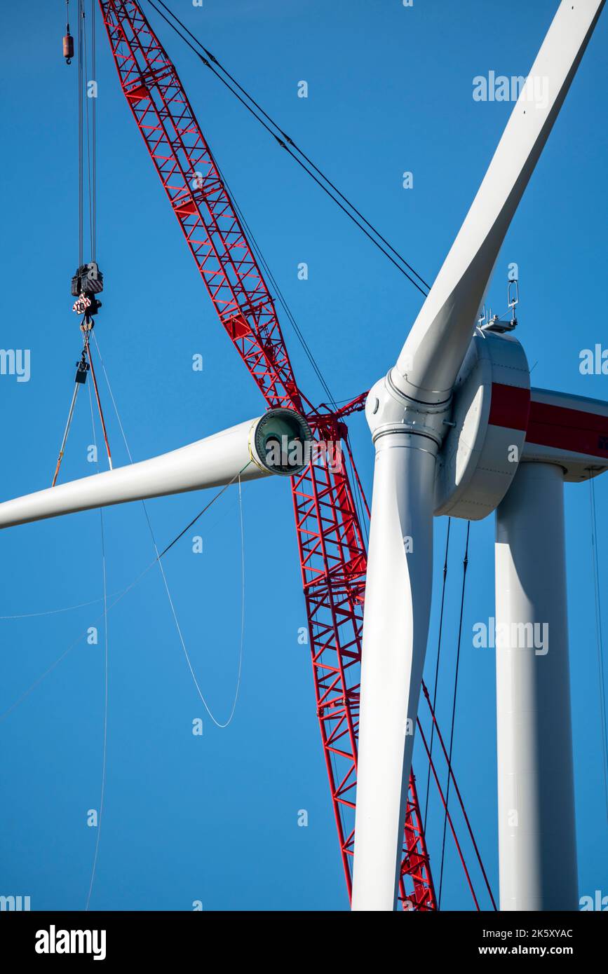 Assembly of a wind turbine, the last rotor blade is being mounted ...