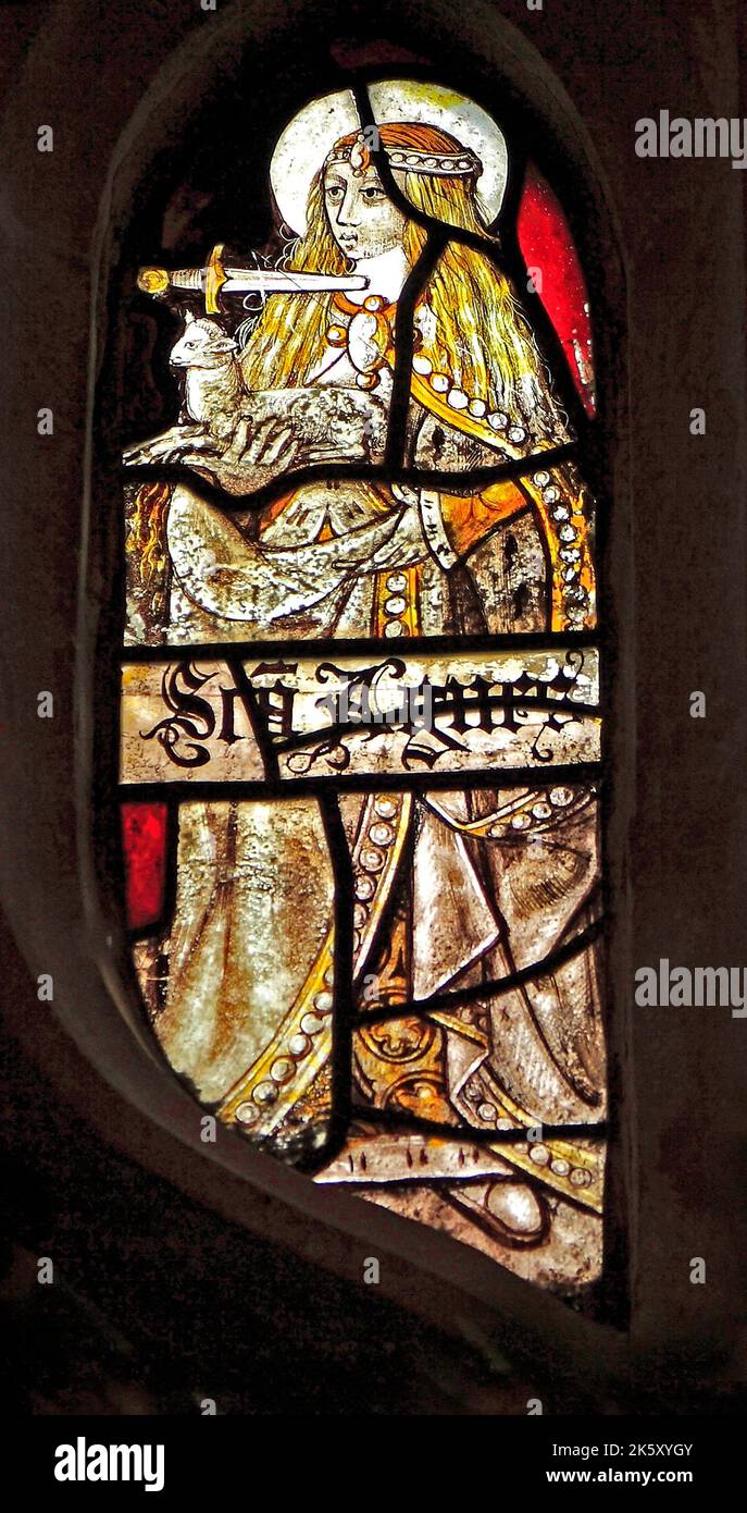 Medieval stained glass, St. Agnes with dagger at her neck, holding a ...