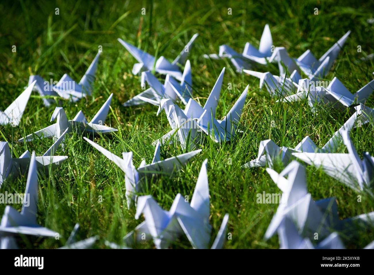 Japanese folded Origami cranes on fresh grass. Hundreds handmade paper ...