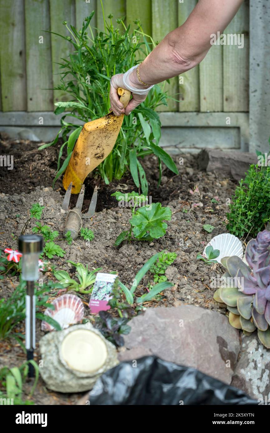 Dig up flowers hi-res stock photography and images - Alamy