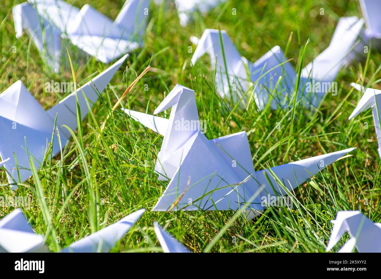 Japanese folded Origami cranes on fresh grass. Hundreds handmade paper ...