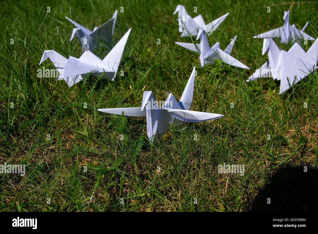 Japanese folded Origami cranes on fresh grass. Hundreds handmade paper ...
