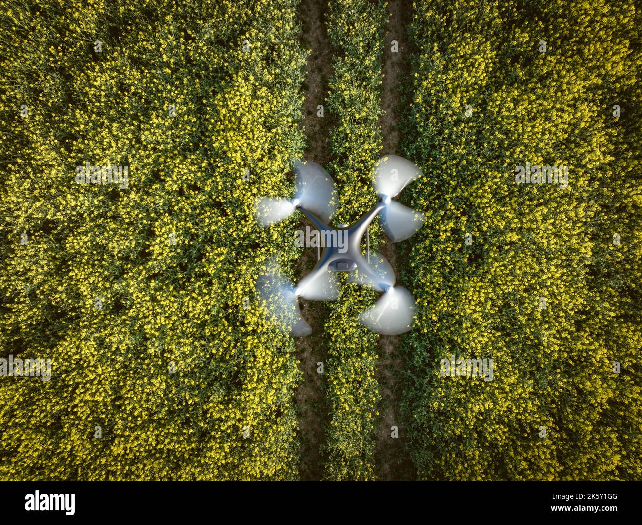 Drone Capturing Agriculture Data for Farming Overflying Crops in a ...
