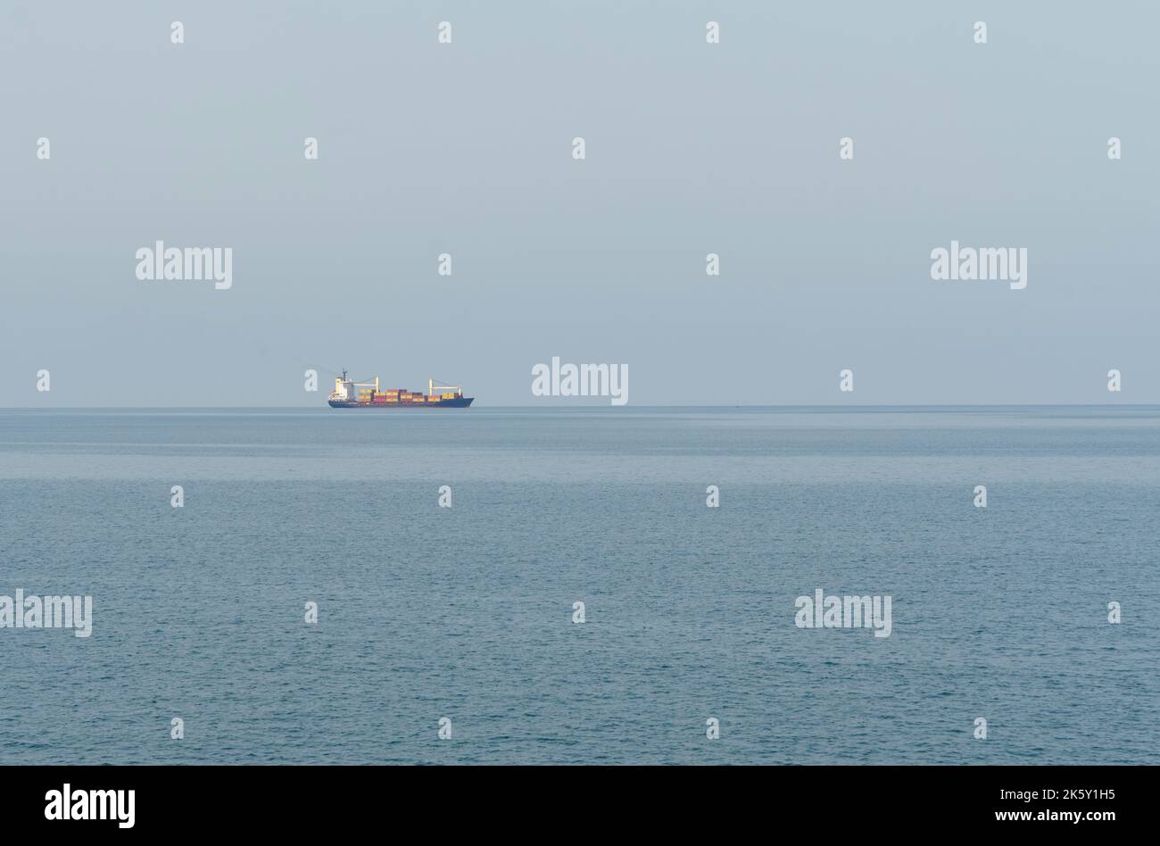 A view through the trees of a freighter moving across the sea in the ...
