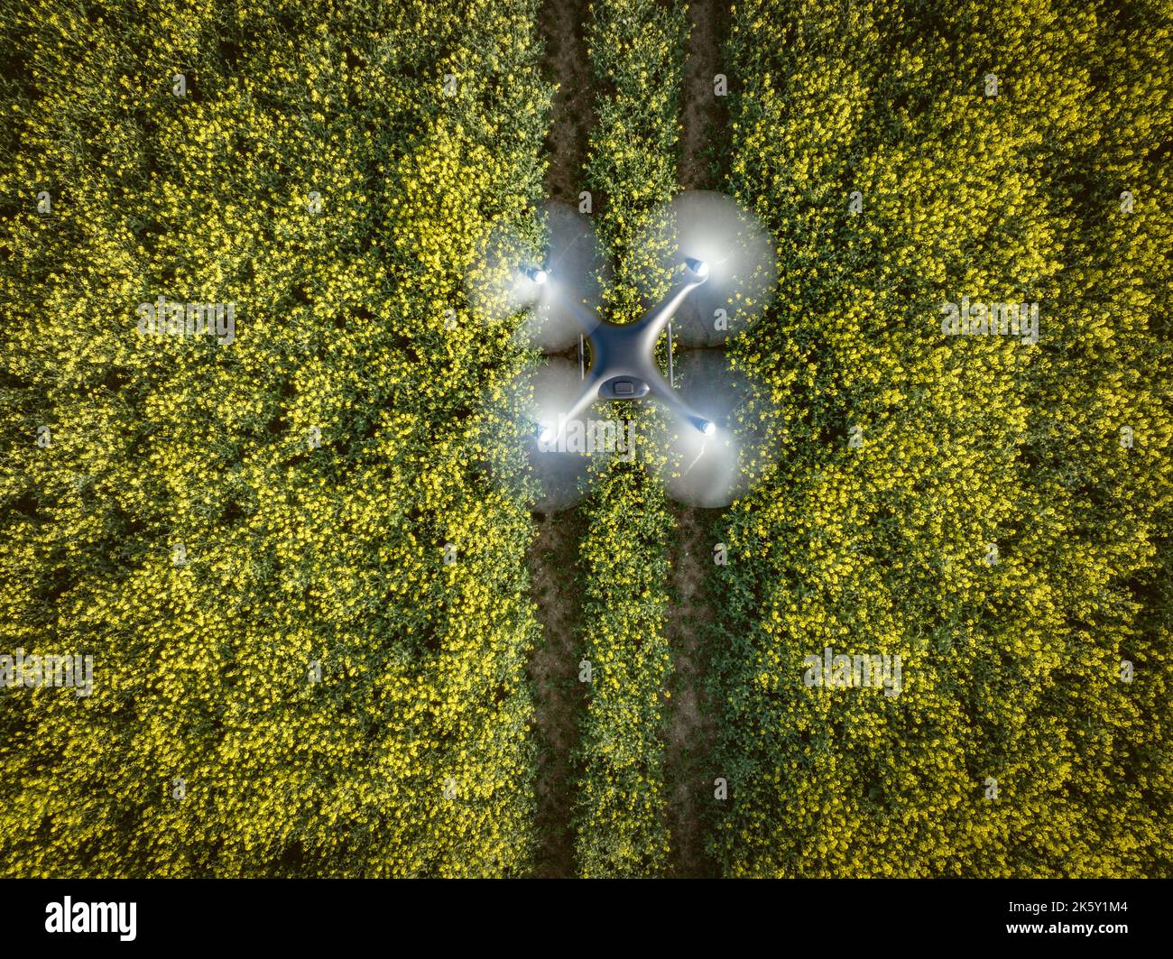 Drone Capturing Agriculture Data for Farming Overflying Crops in a ...