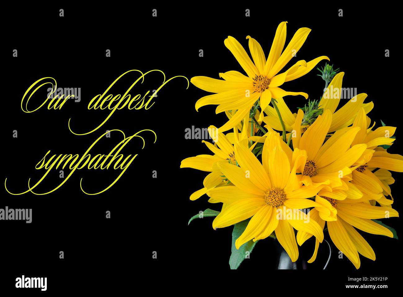 A sunflower in a vase on a black background Stock Photo - Alamy
