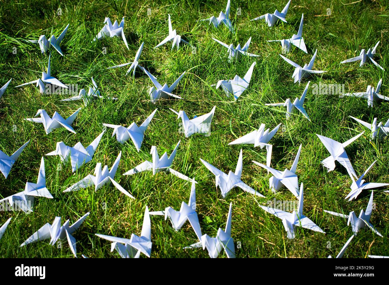 Japanese folded Origami cranes on fresh grass. Hundreds handmade paper ...