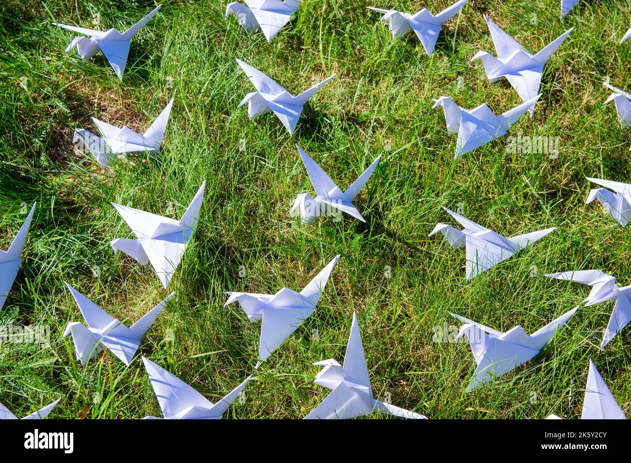 Japanese folded Origami cranes on fresh grass. Hundreds handmade paper ...