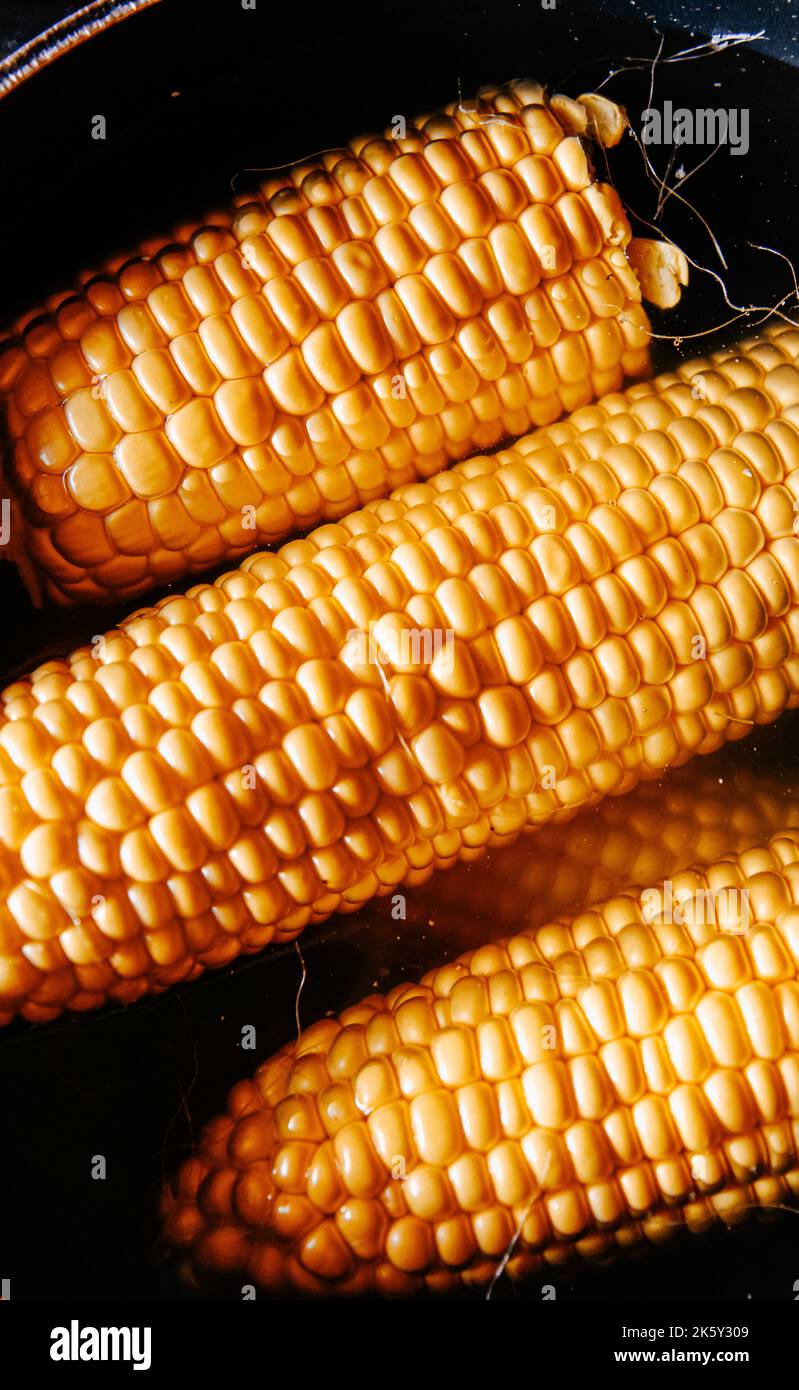 Orange juicy corn is boiled in water with salt. Corn in boiling water ...