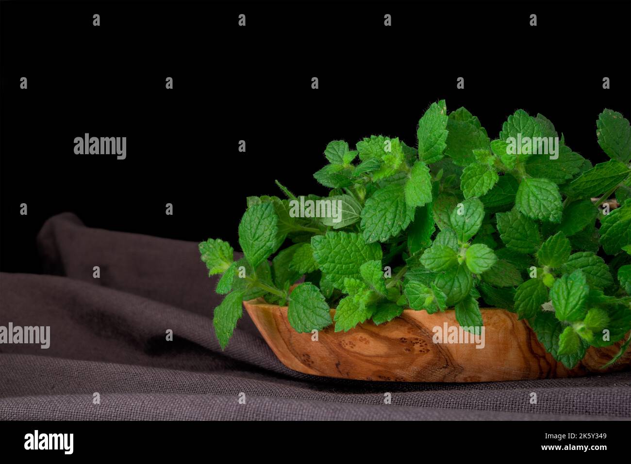 Lemon Balm (herb) tied in a bunch on white backgriound Stock Photo - Alamy
