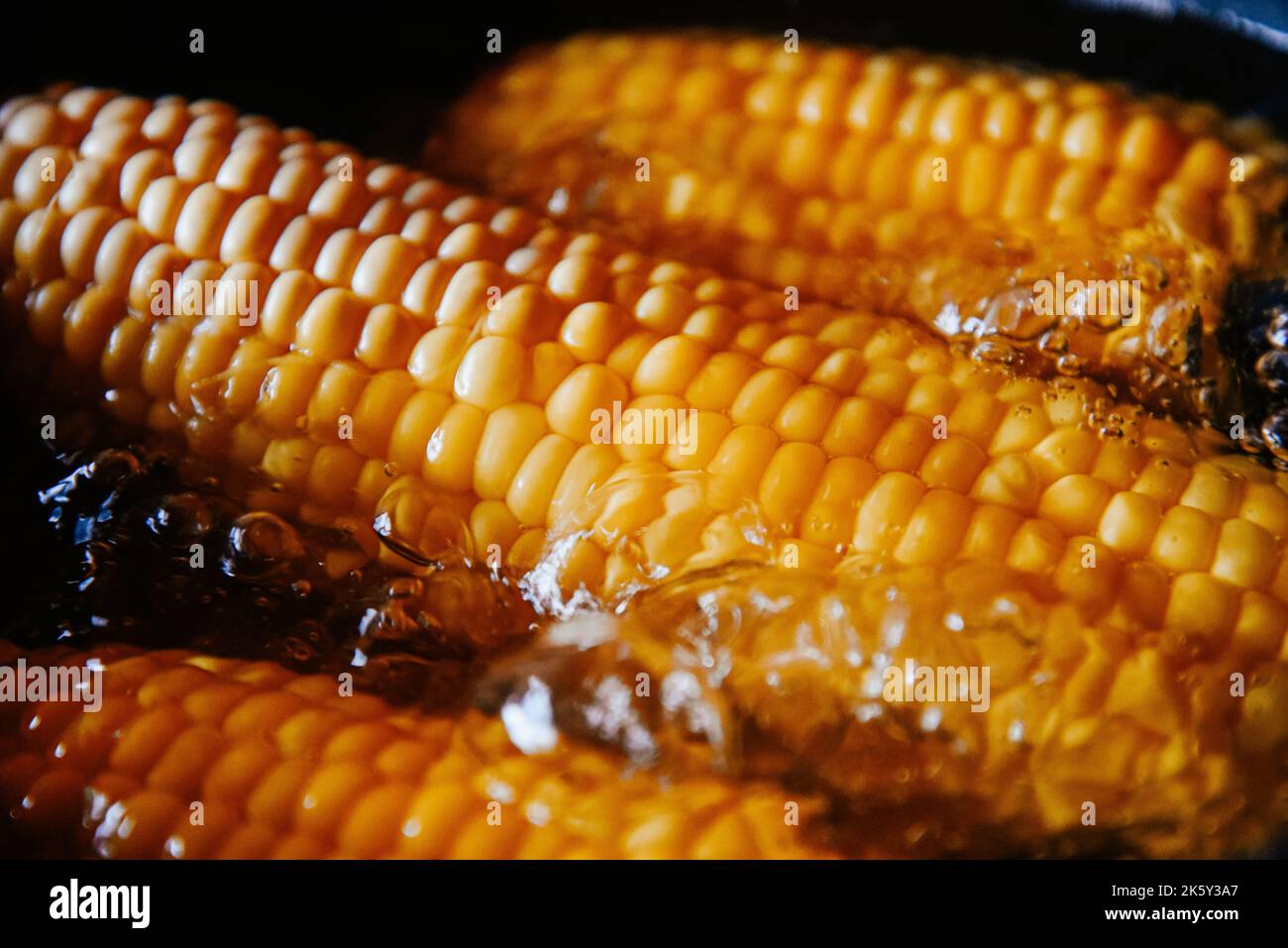 Orange juicy corn is boiled in water with salt. Corn in boiling water ...