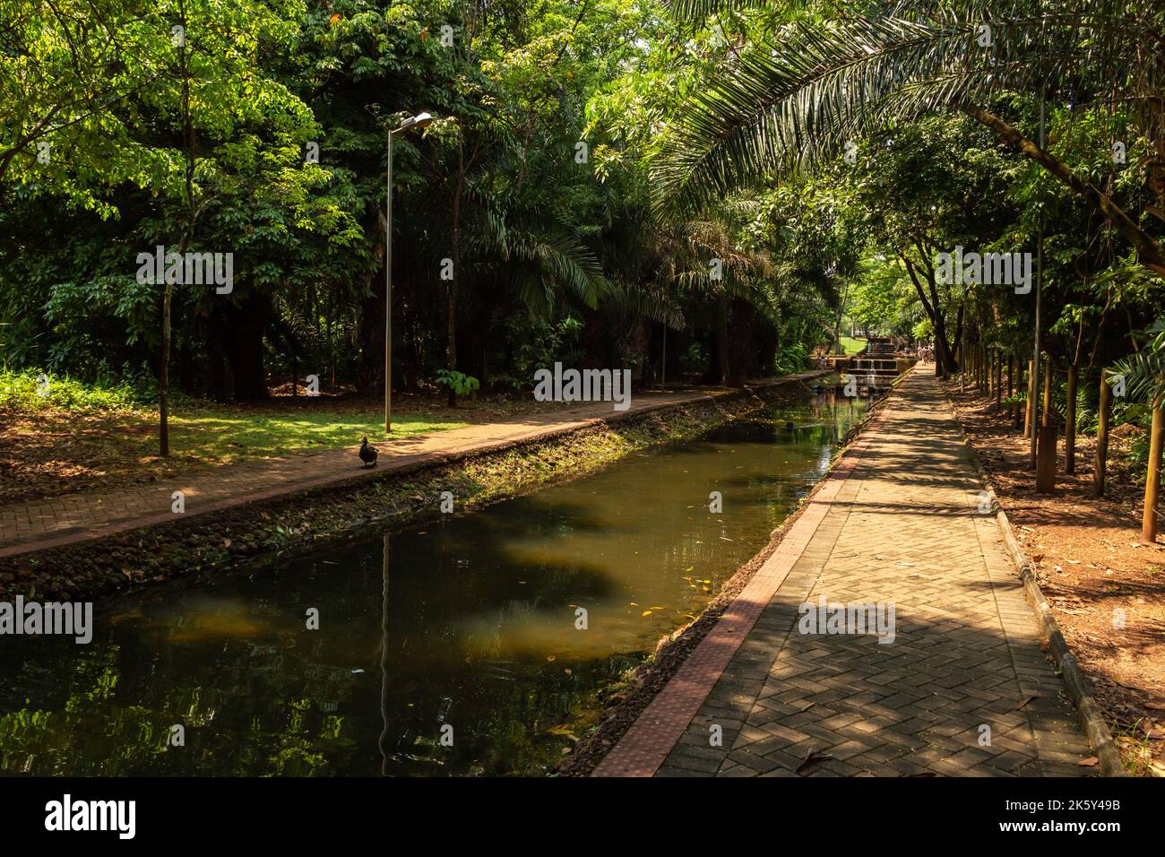 Goiânia, Goias, Brazil – October 09, 2022: A view of Bosque dos Buritis ...
