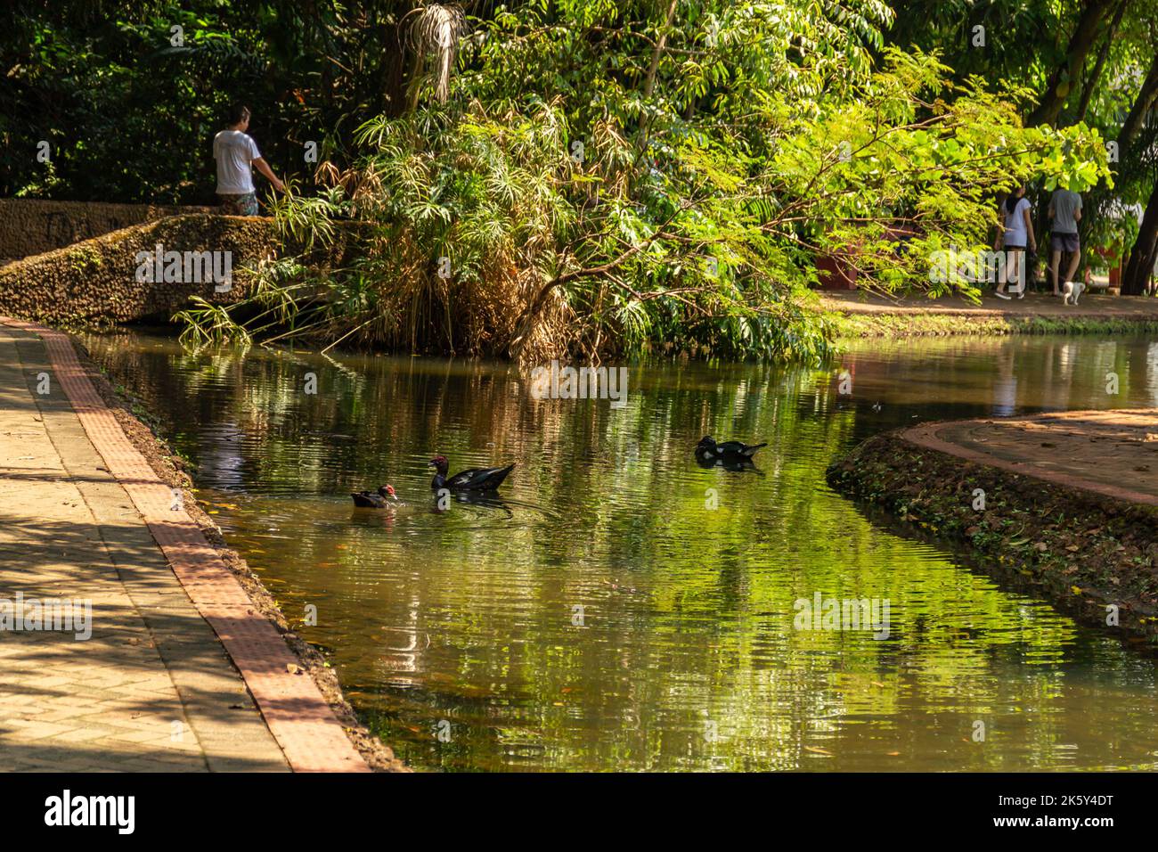 Goiânia, Goias, Brazil – October 09, 2022: A view of Bosque dos Buritis ...