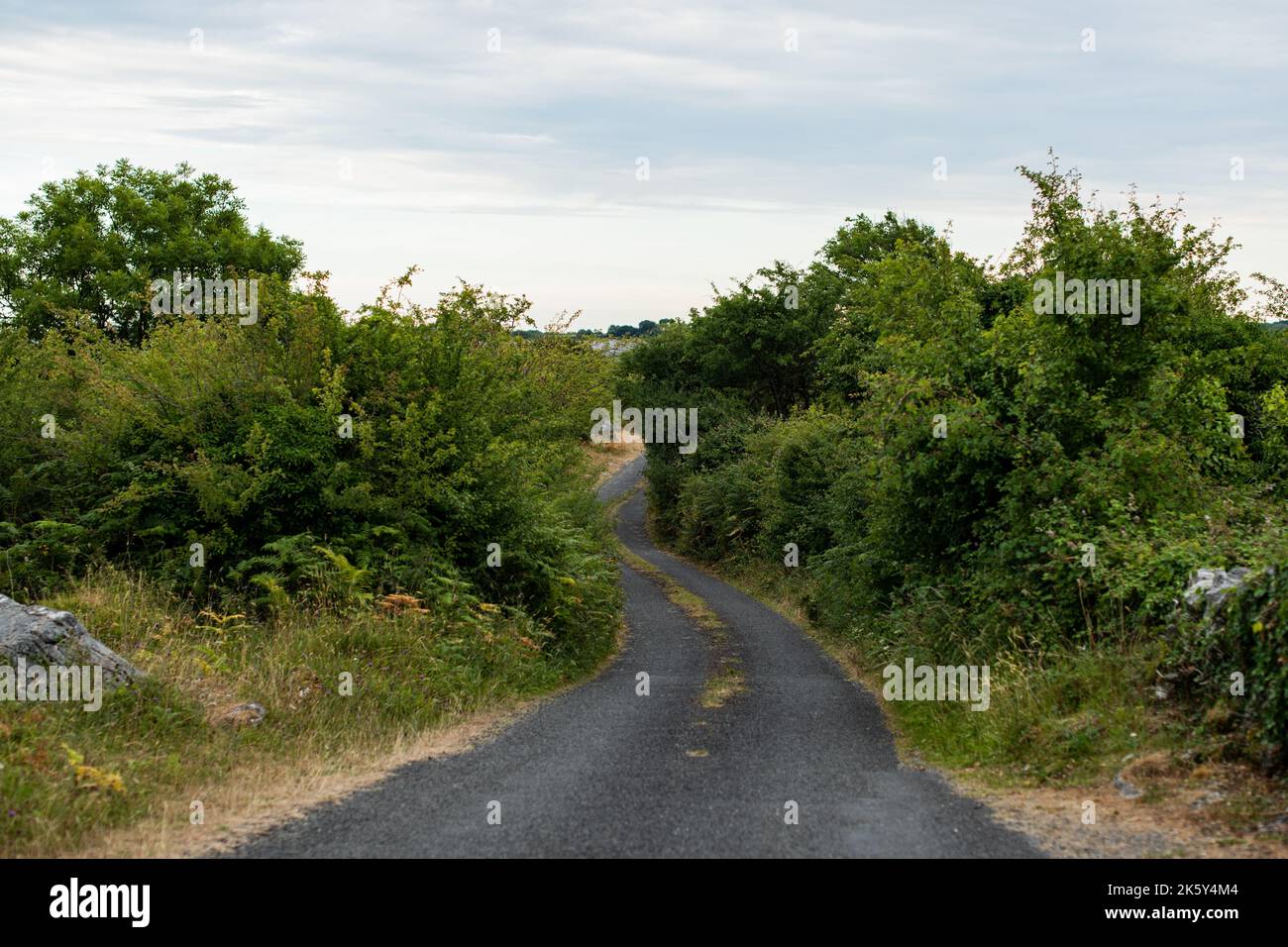 A long road surrounded by grass and green trees under a cloudy sky ...