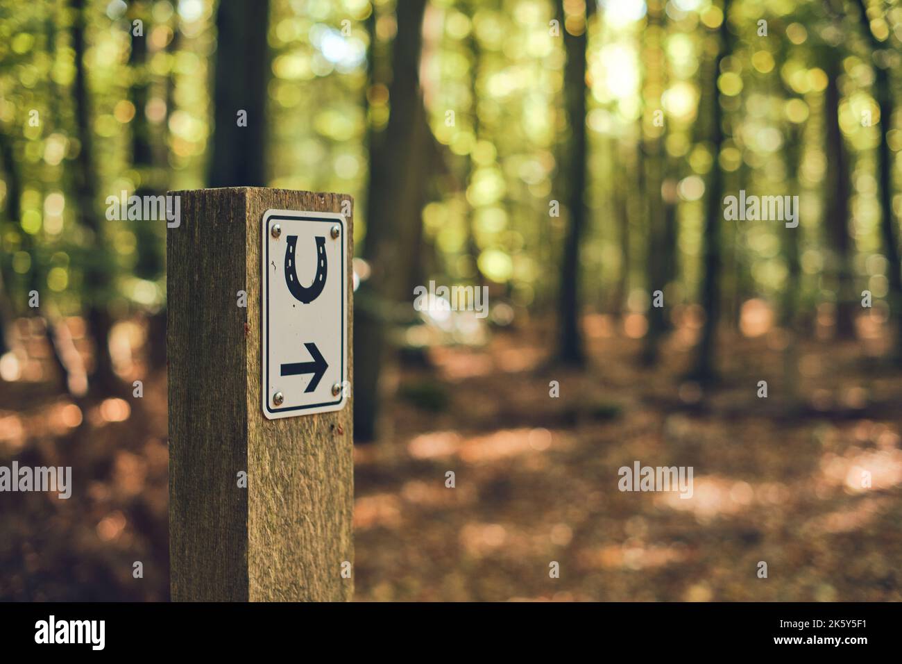 Riding path sign in the woods with directions. High quality photo Stock ...