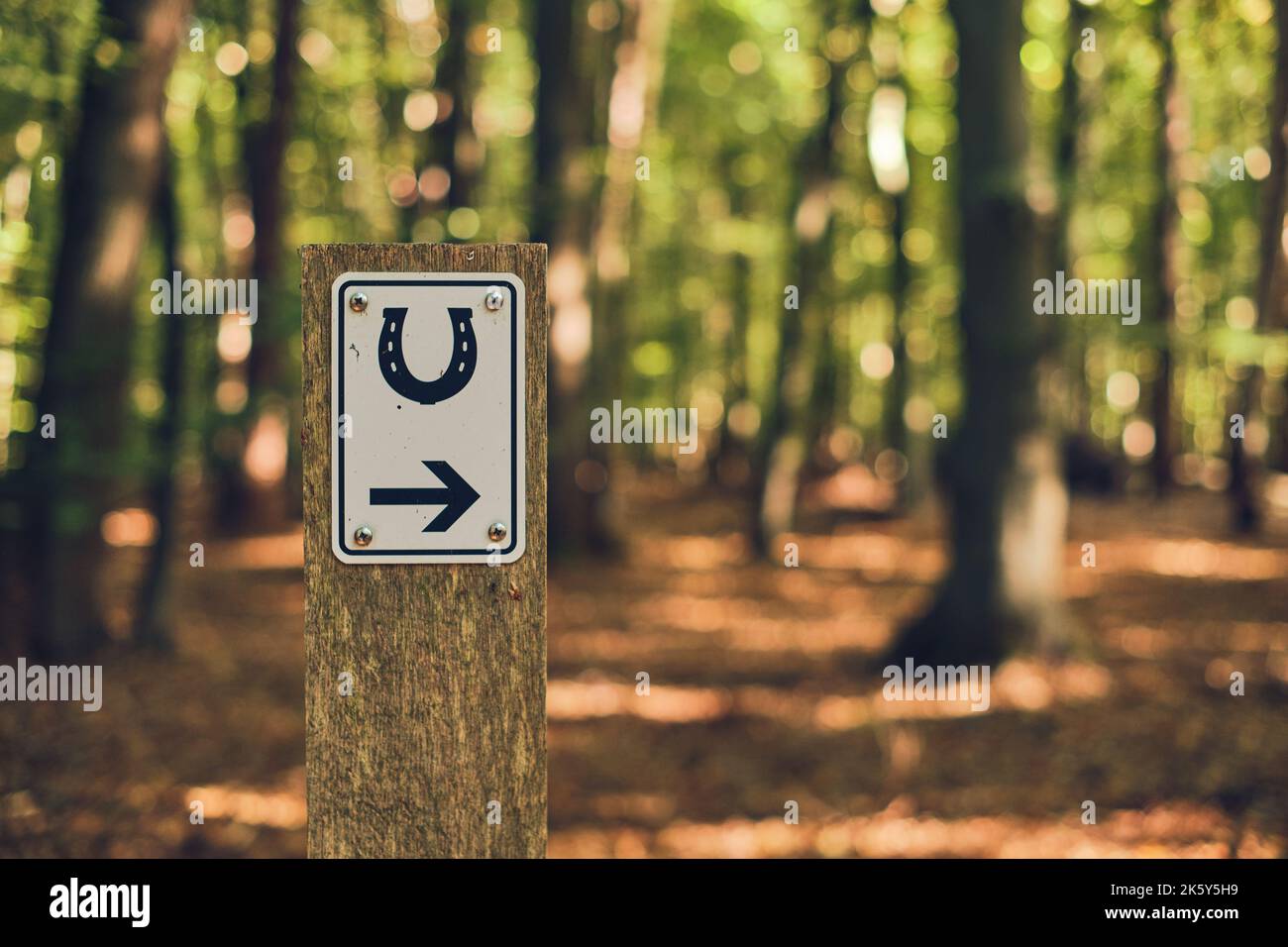 Riding path sign with arrow. High quality photo Stock Photo - Alamy