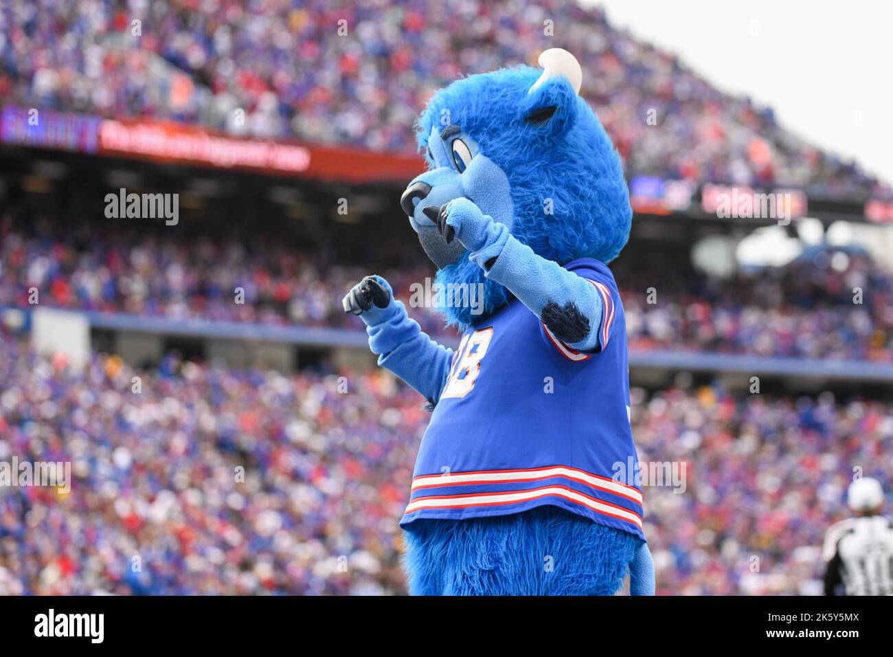 Highmark stadium hi-res stock photography and images - Alamy