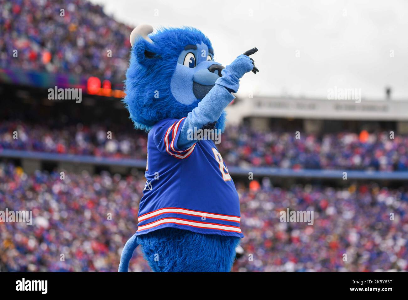 Orchard Park, New York, USA. 9th Oct, 2022. October 9th, 2022 Buffalo ...