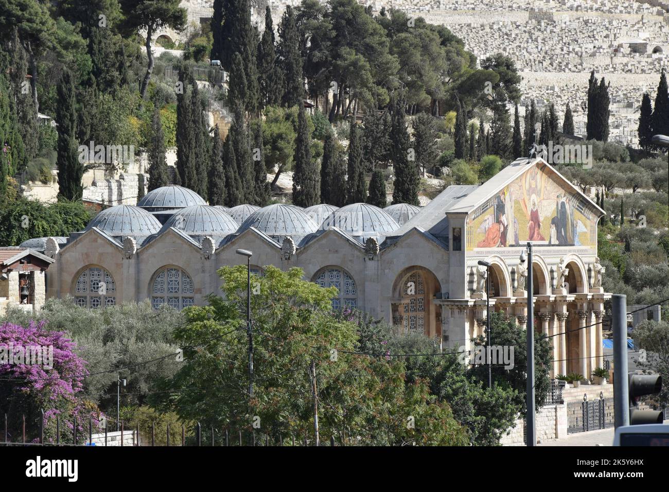 Gethsemane - Olive garden and biblical pilgrimage site outside the City ...