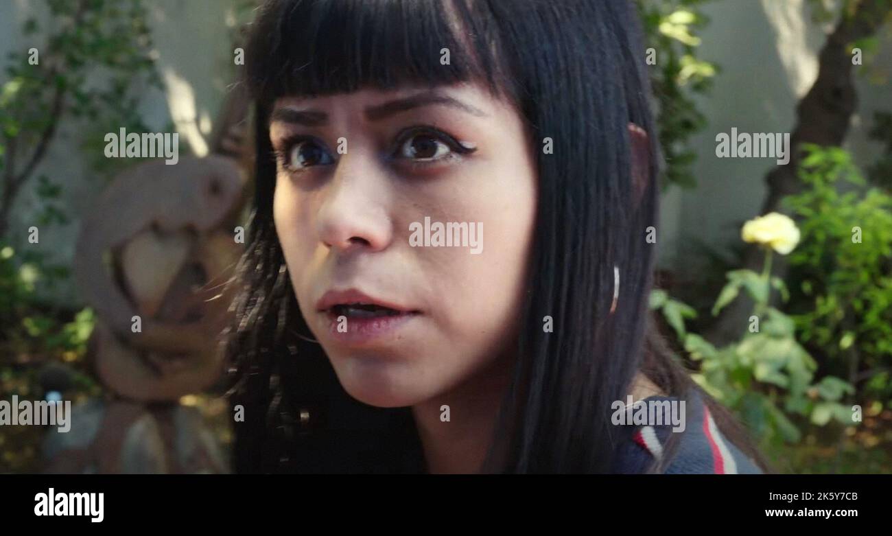 MY IMAGINARY COUNTRY, (aka MI PAIS IMAGINARIO), 2022. © Icarus Films ...