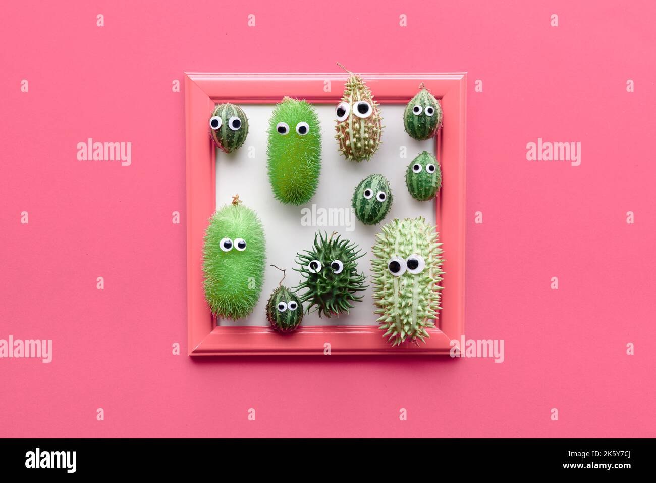 Handmade natural monsters with googly eyes made from natural spiky deco ...