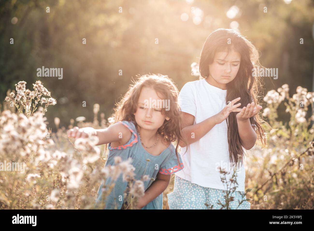 two girls in nature picking flowers in the setting sun portrait Stock ...